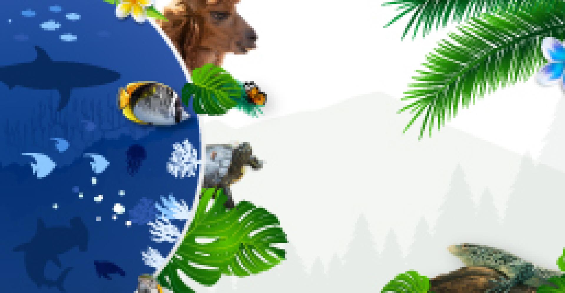 Environmental and Social Performance Standard 6. Biodiversity conservation and sustainable ...