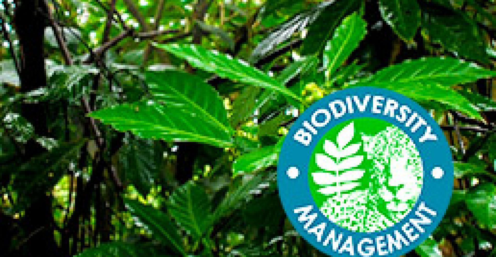 Biodiversity In Environmental Impact Assessments Curso Tutorizado