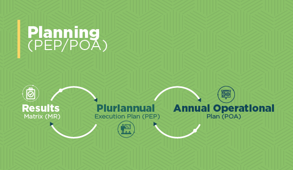(POD) Pluriannual Execution Plan (PEP) / Annual Operational Plan (POA ...